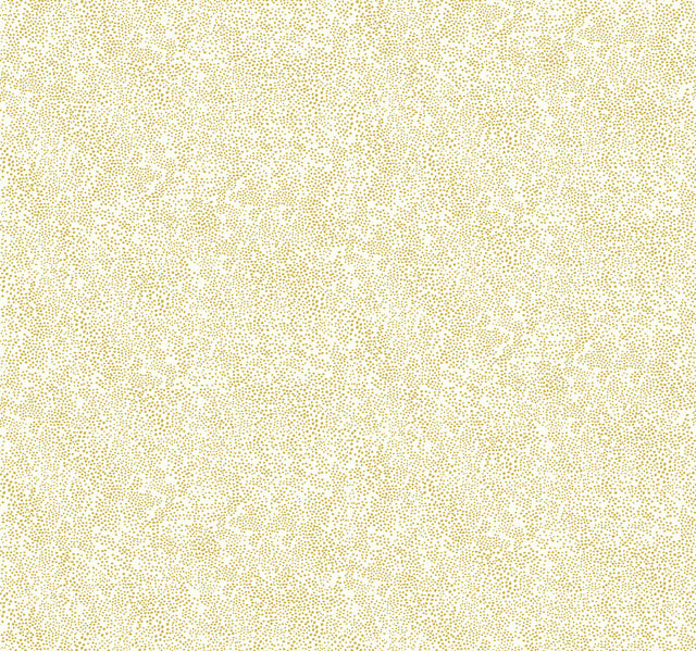York Wallcoverings RI5112 Champagne Dots Wallpaper